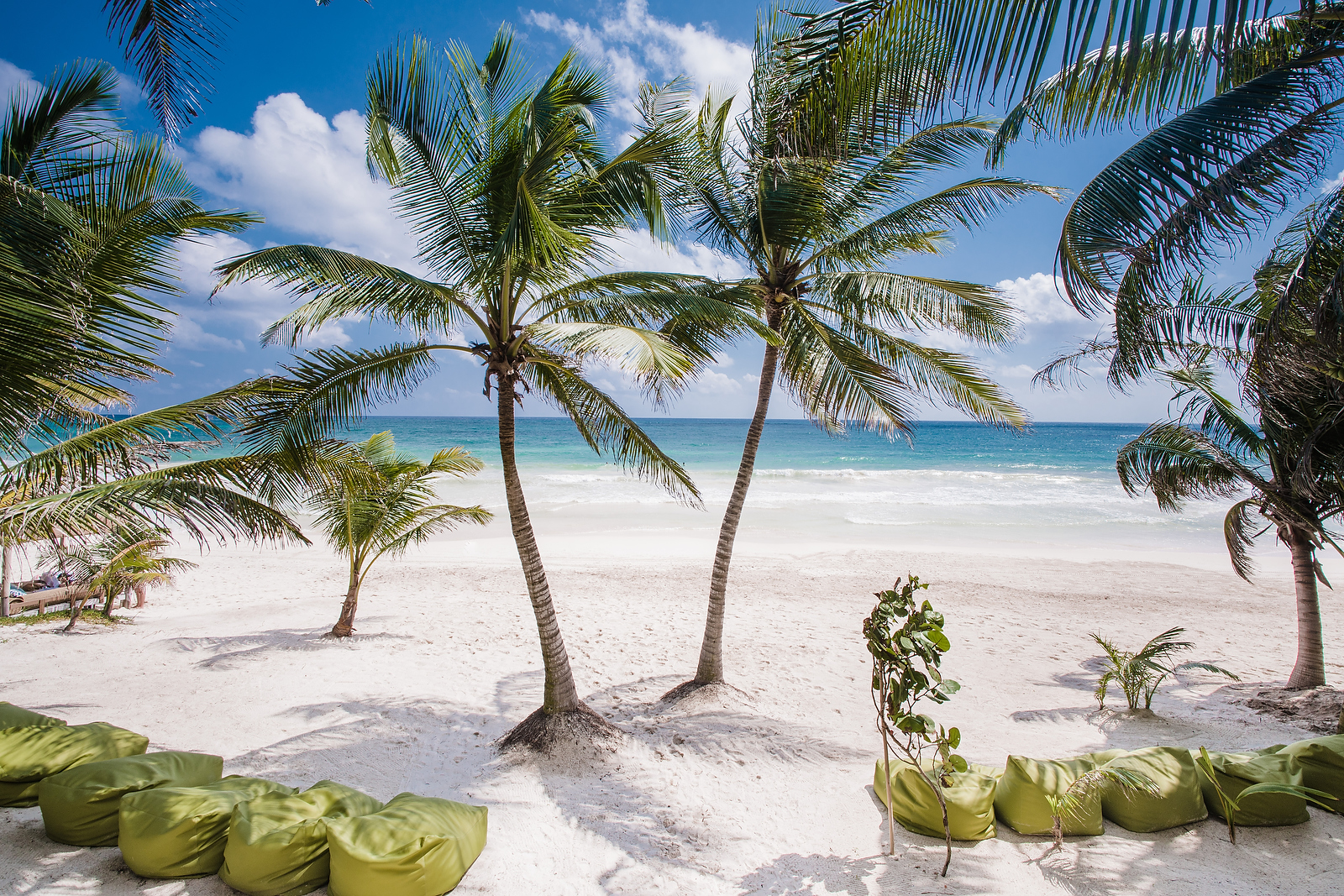 Meet the Canadian connection behind the new Mexican luxury resort ...